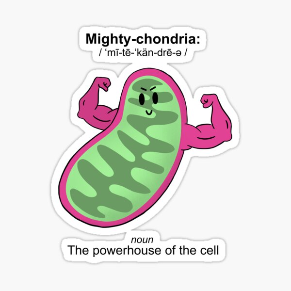 "Mighty Mitochondria" Sticker for Sale by ebhcardinal | Redbubble
