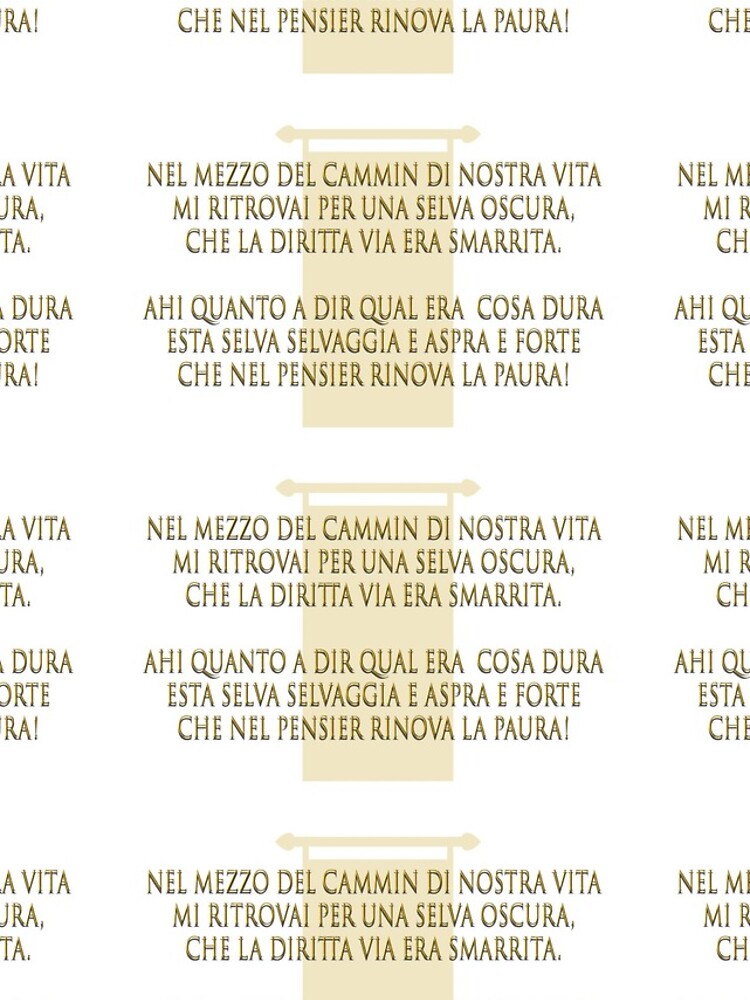 "Nel mezzo del cammin di nostra vita mi ritrovai per una selva oscura ...