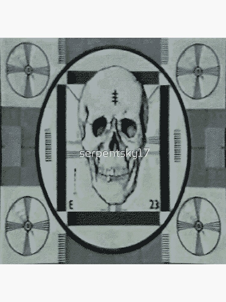 "Skull Test Pattern" Sticker for Sale by serpentsky17 | Redbubble