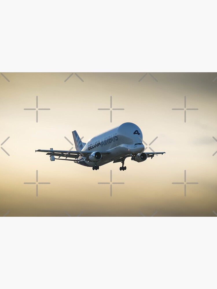 "Airbus Beluga" Sticker for Sale by MarioLagu | Redbubble