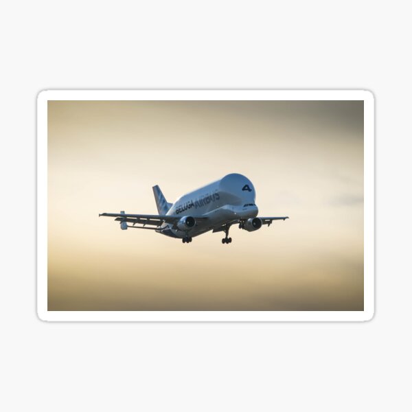 "Airbus Beluga" Sticker for Sale by MarioLagu | Redbubble