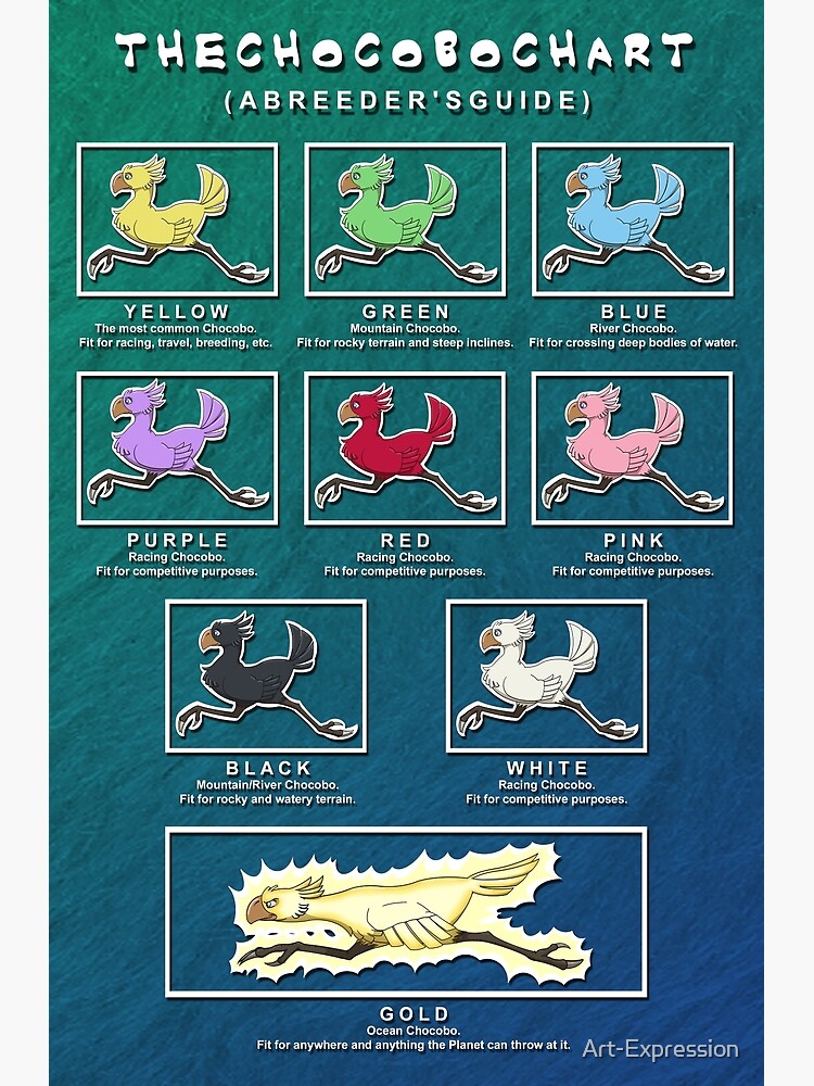 "The Chocobo Chart Poster" Art Print by Art-Expression | Redbubble