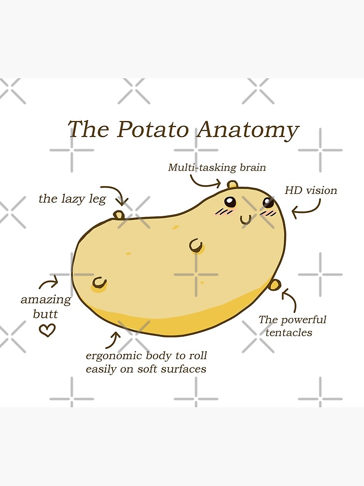 "the potato anatomy" Poster by Carlotta986 | Redbubble