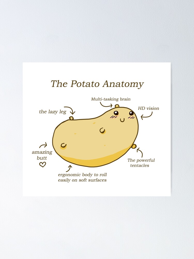 "the potato anatomy" Poster by Carlotta986 | Redbubble