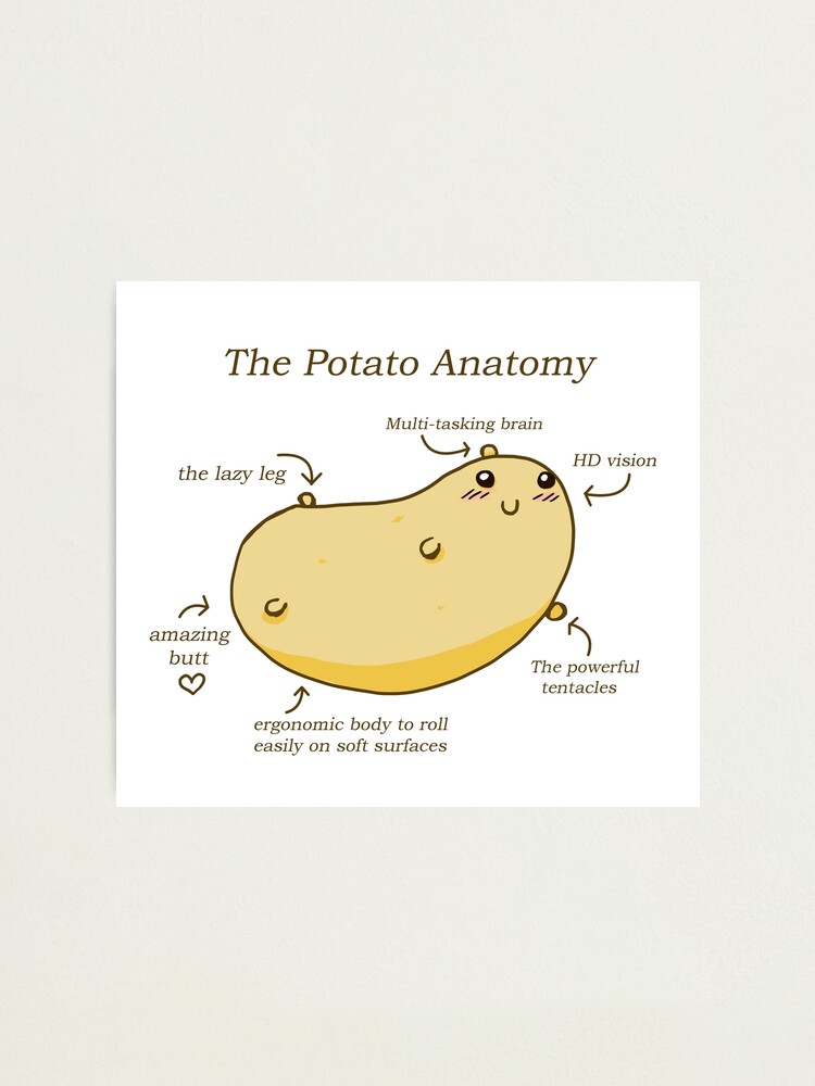 "the potato anatomy" Photographic Print for Sale by Carlotta986 | Redbubble