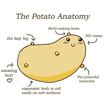 "the potato anatomy" Photographic Print for Sale by Carlotta986 | Redbubble