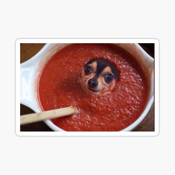 "Dog in Tomato Sauce " Sticker for Sale by debracornell97 | Redbubble