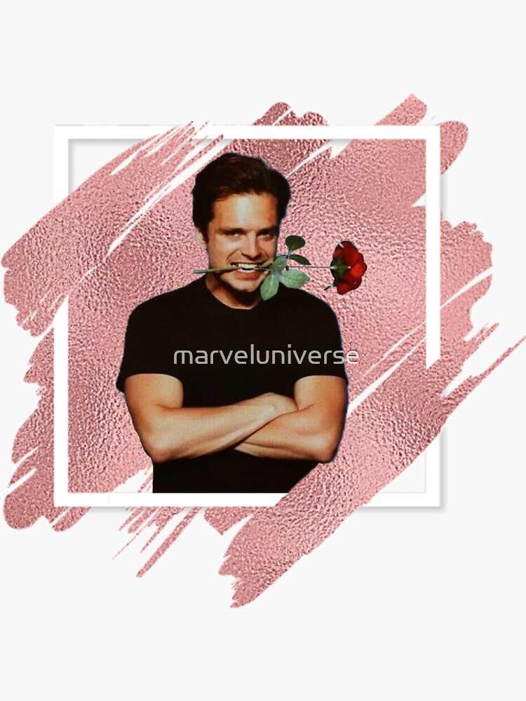 "sebastian stan" Sticker for Sale by marveluniverse | Redbubble