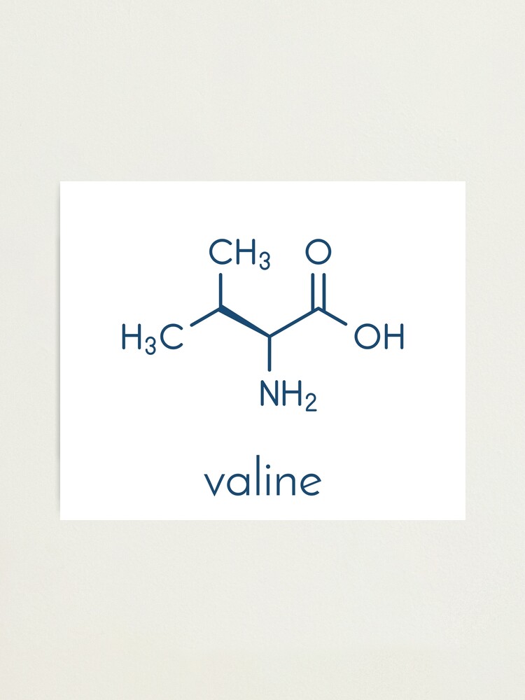 Lámina fotográfica «Valina (l-valina, Val, V) molécula de aminoácido ...