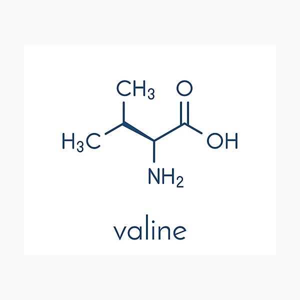 Lámina fotográfica «Valina (l-valina, Val, V) molécula de aminoácido ...