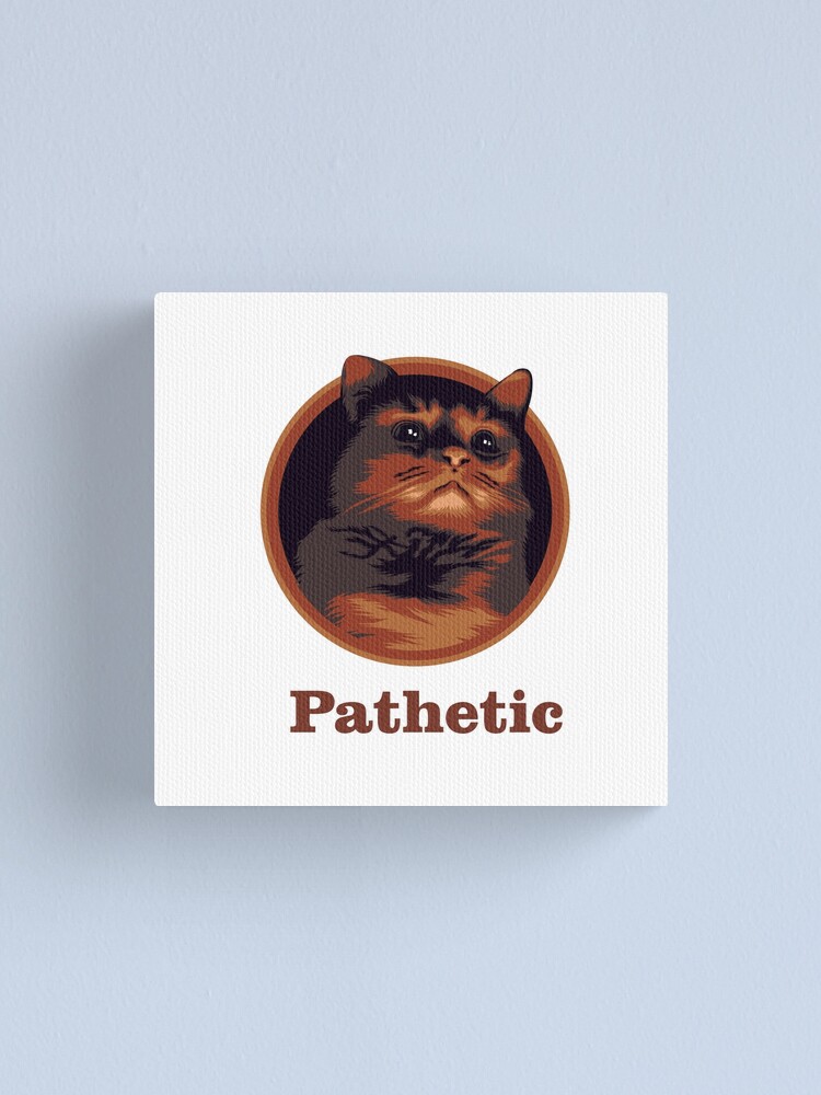 "Pathetic Cat Meme" Canvas Print for Sale by FinestMeme | Redbubble