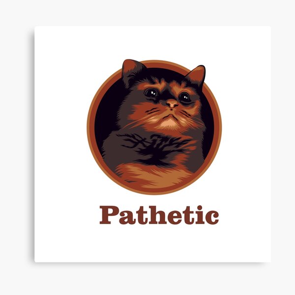 "Pathetic Cat Meme" Canvas Print for Sale by FinestMeme | Redbubble