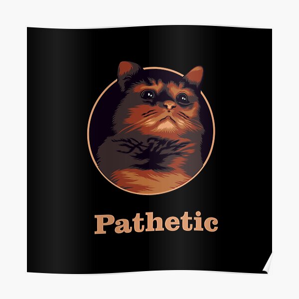 "Pathetic Cat" Poster for Sale by FinestMeme | Redbubble