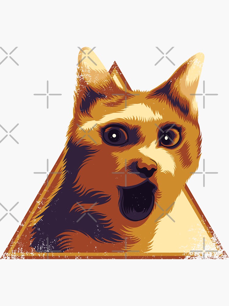 "OMG Cat T-Shirt" Sticker by FinestMeme | Redbubble