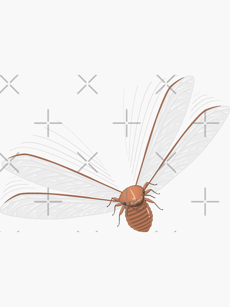 "Winged termite" Sticker for Sale by Judge-Hatchet | Redbubble