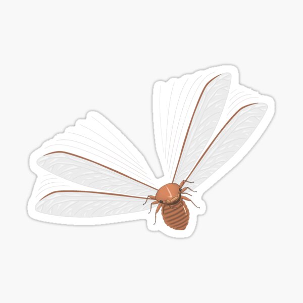 "Winged termite" Sticker for Sale by Judge-Hatchet | Redbubble