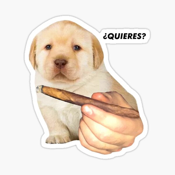 "Doggy with a blunt" Sticker for Sale by MartinDenta | Redbubble