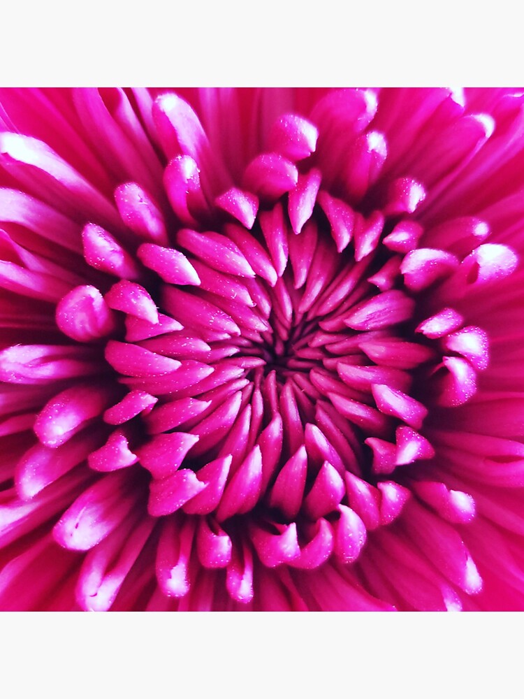 "Vessel" Sticker for Sale by HannahMFunk | Redbubble