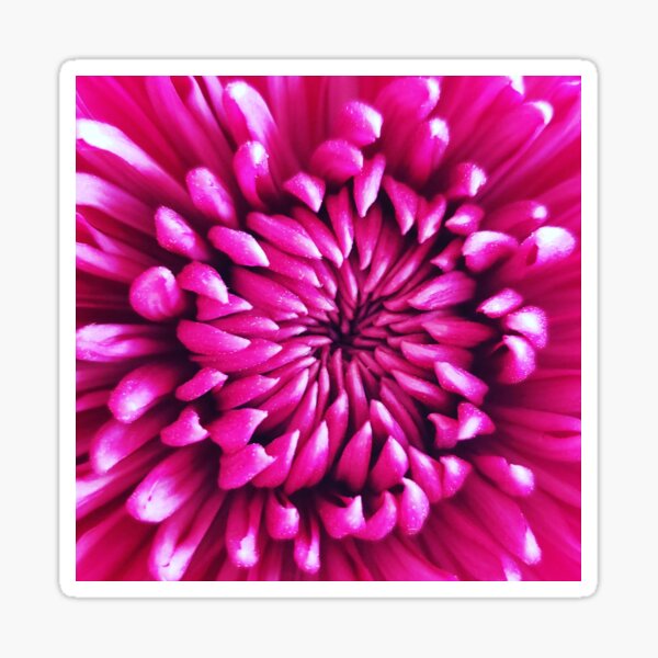 "Vessel" Sticker for Sale by HannahMFunk | Redbubble