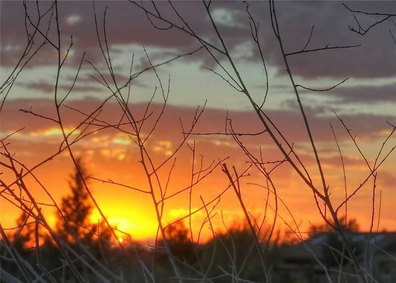 "Artsy Sunset" by Herman Hodges | Redbubble