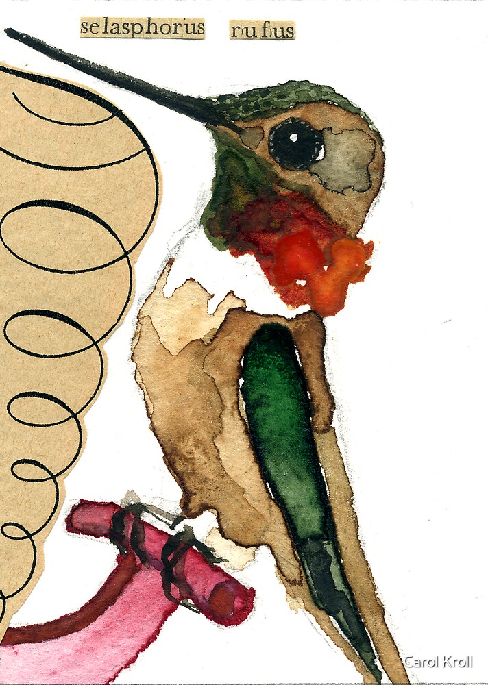 "Rufous Hummingbird" by Carol Kroll | Redbubble