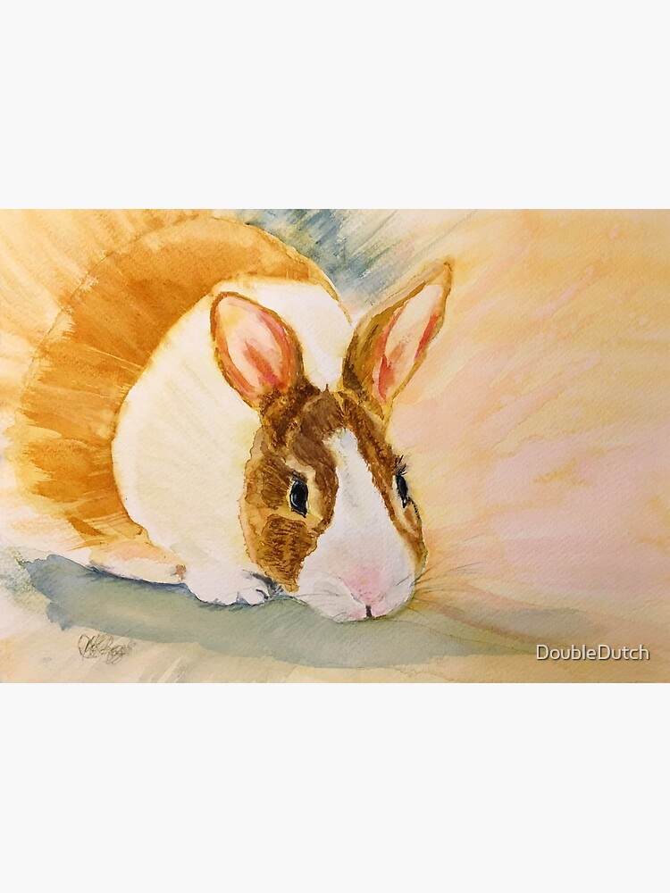 "Dutch Rabbit Watercolour - Dijon asking for cuddles" Poster by ...