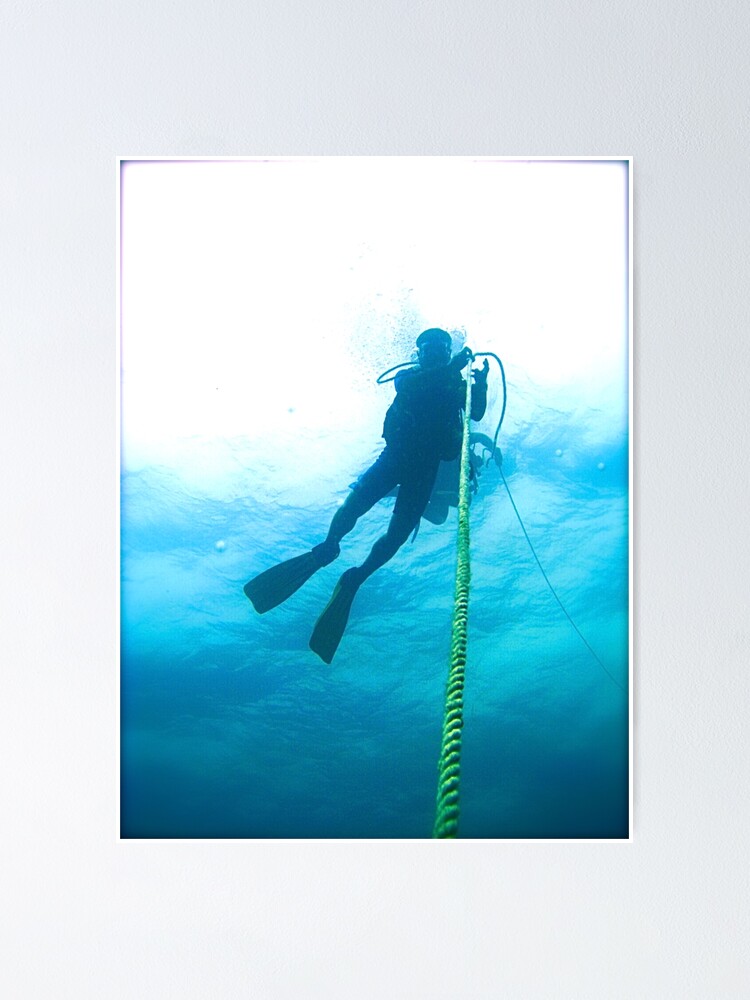 "Deco Stop Diver!" Poster for Sale by dumbodancer | Redbubble