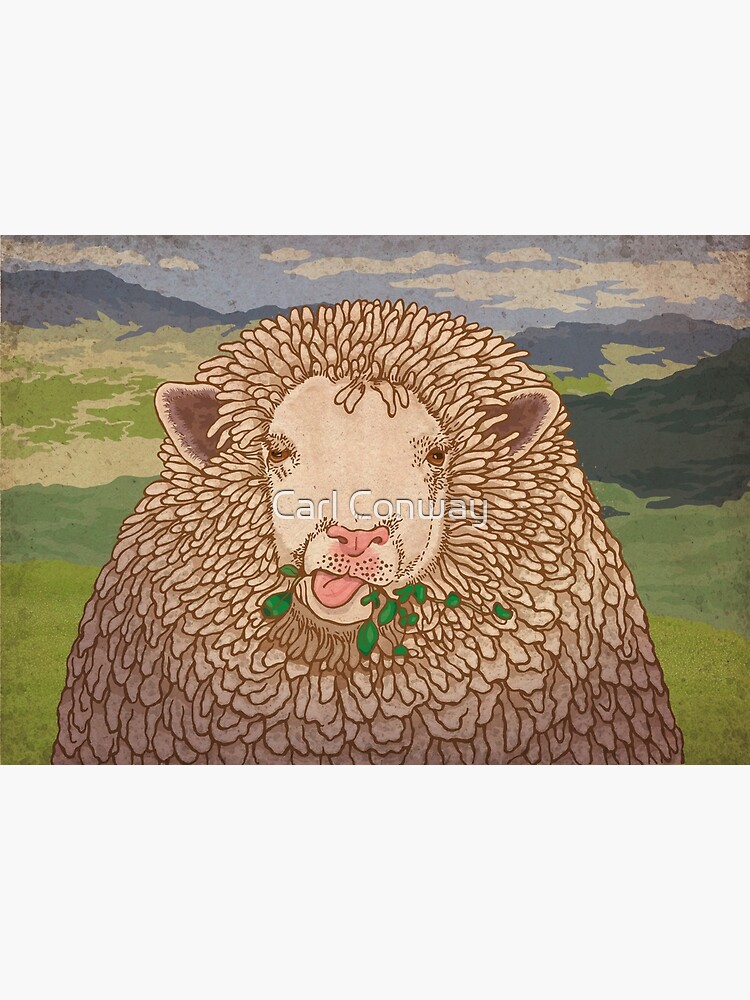 "Welsh sheep" Poster by cjnconway | Redbubble