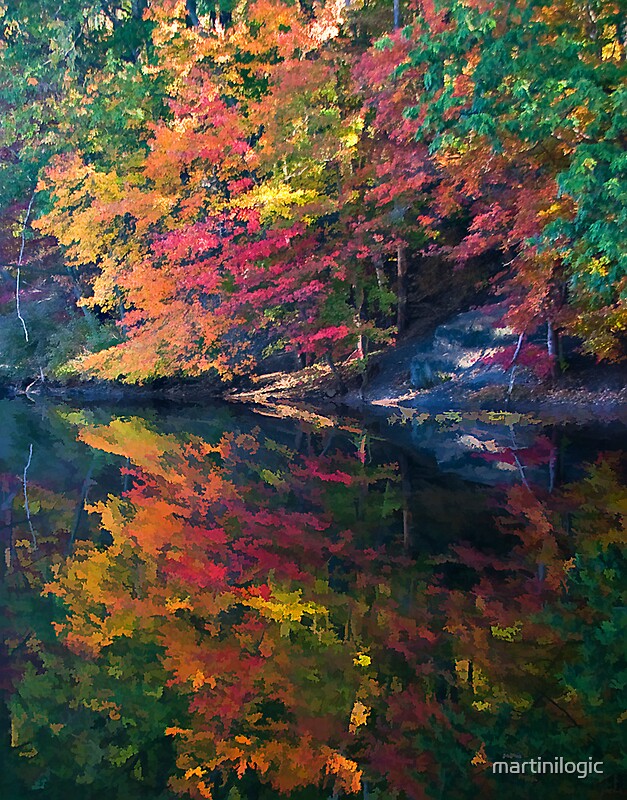 "Fall Reflection" by martinilogic | Redbubble