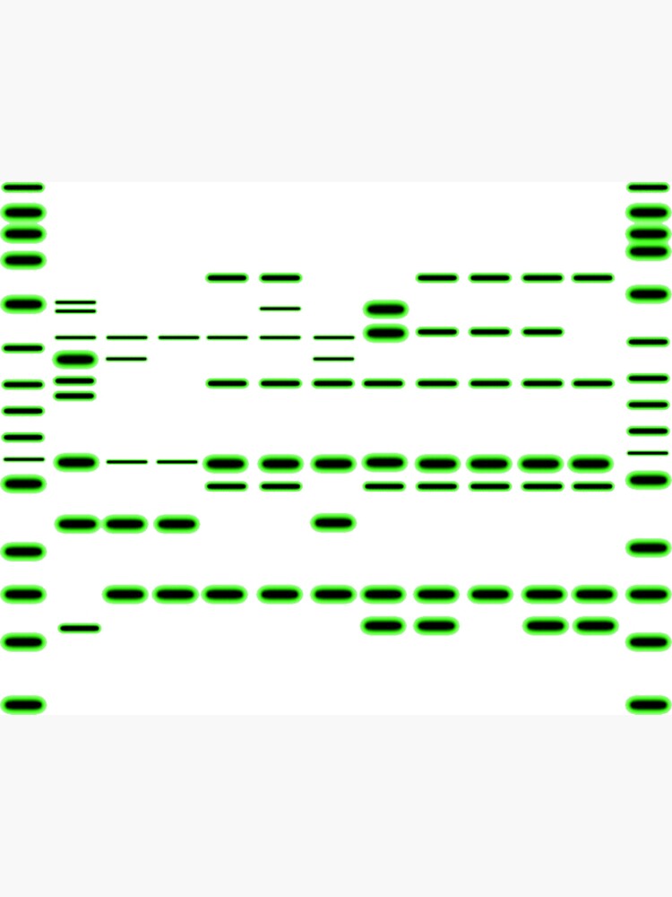 "DNA Green" Poster by Stelviostrada | Redbubble