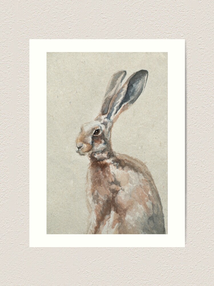 "Spring Hare" Art Print for Sale by amartstudio | Redbubble
