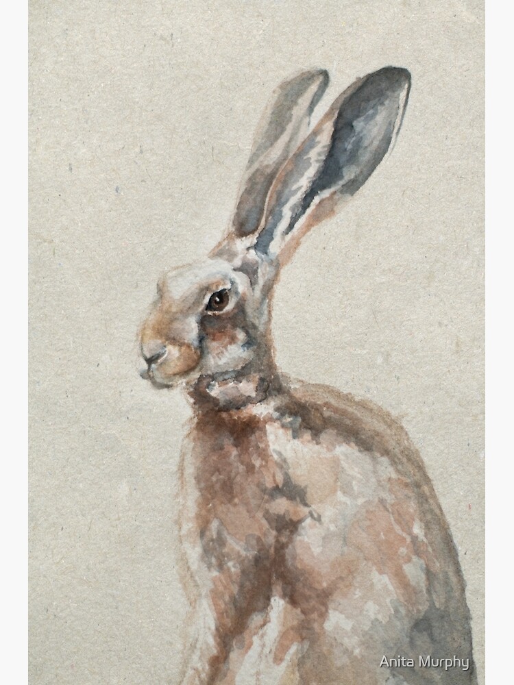 "Spring Hare" Art Print for Sale by amartstudio | Redbubble