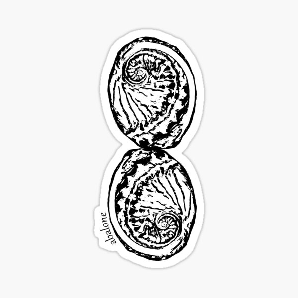 Abalone Shell Stickers | Redbubble