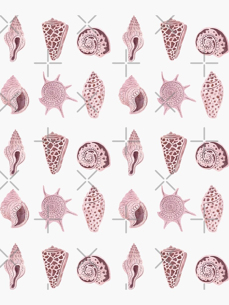 "Pink watercolor seashells" Sticker for Sale by Miss-Belle | Redbubble