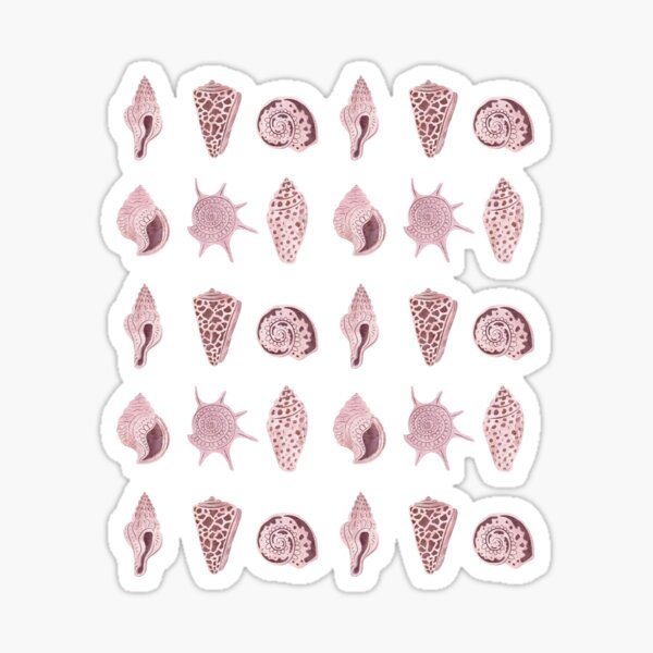 "Pink watercolor seashells" Sticker for Sale by Miss-Belle | Redbubble