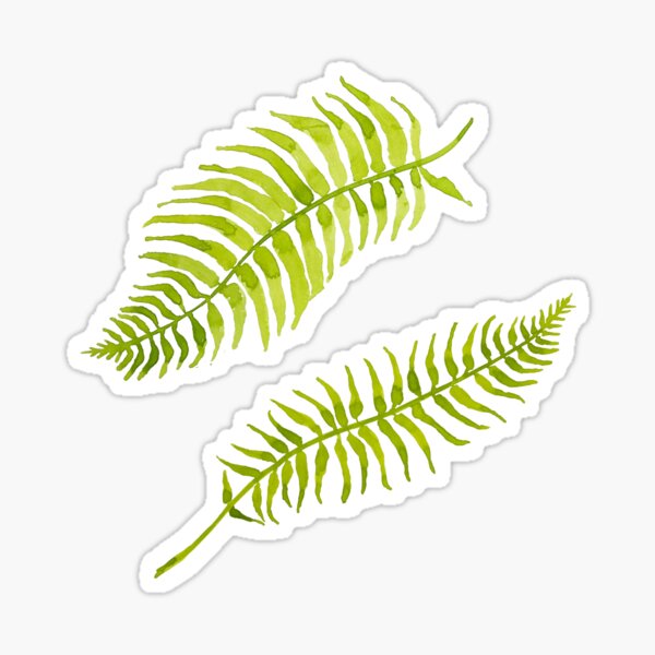"Fern Limelight" Sticker for Sale by LIMEZINNIASDES | Redbubble