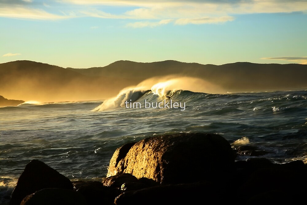 "redbill beach swell. bicheno, tasmania" by tim buckley | bodhiimages ...