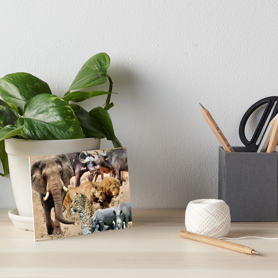 "AFRICA'S BIG 5 - DIE GROOT 5" Art Board Print by mags | Redbubble