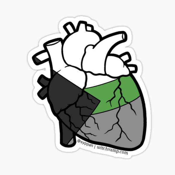 "Demiromantic Pride Anatomical Heart" Sticker for Sale by Syppah ...