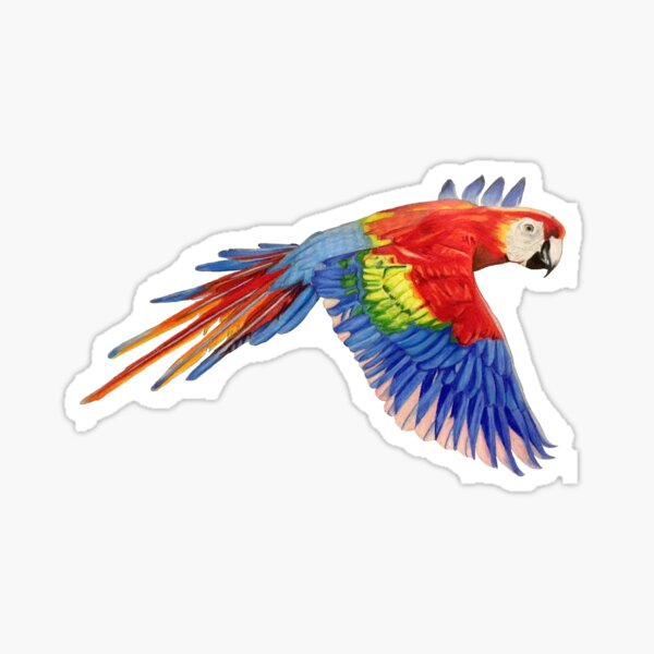 "Scarlet Macaw" Sticker by rockband464 | Redbubble