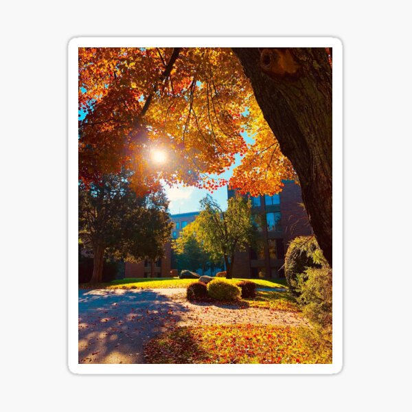 "Fall Foliage" Sticker for Sale by Kfitzy22 | Redbubble