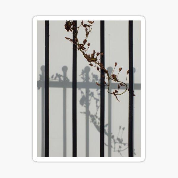"Shadow on the Wall" Sticker for Sale by Yampimon | Redbubble