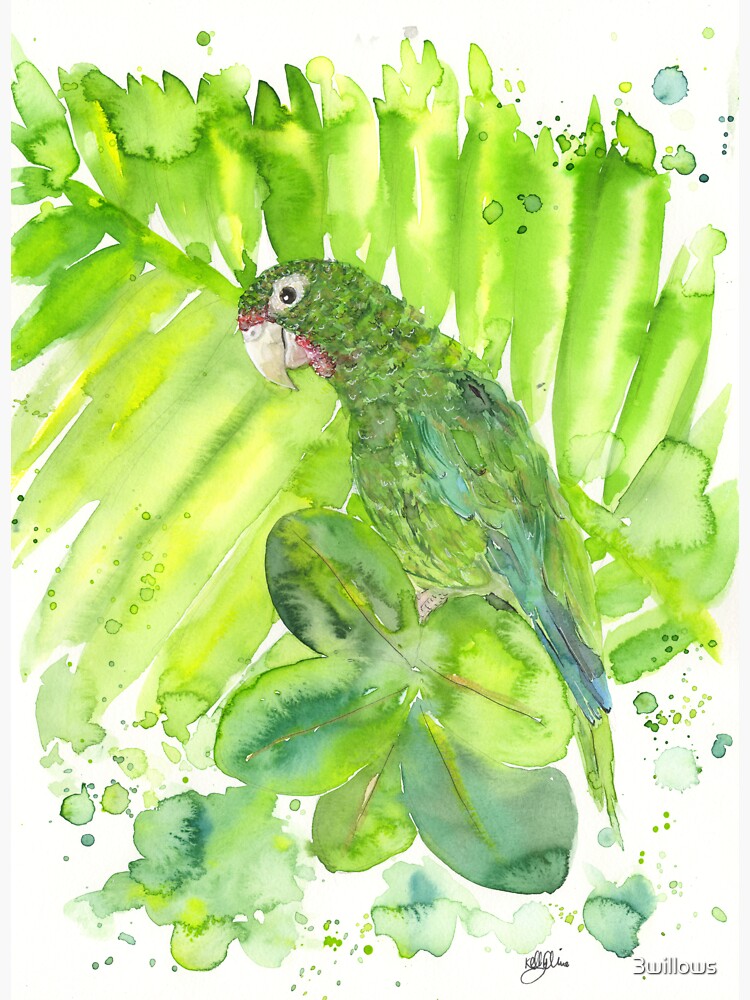 "Puerto Rican Parrot" Sticker for Sale by 3willows | Redbubble