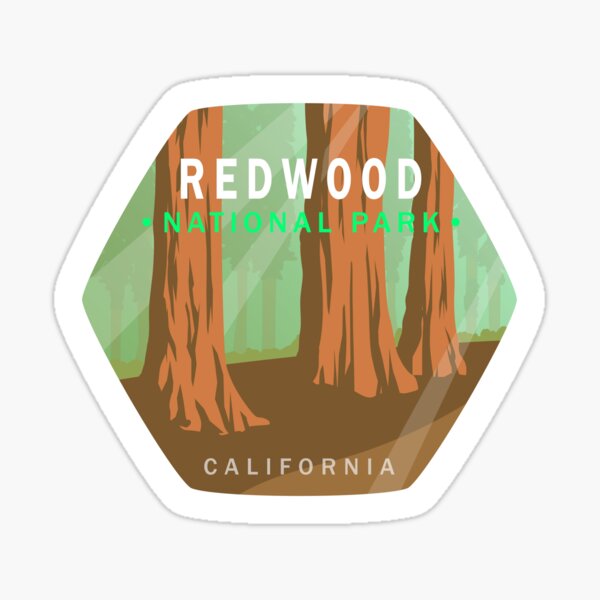 "Redwood National Park" Sticker by AnthonyAyy | Redbubble