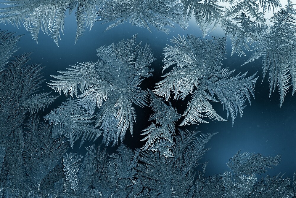 "Beautiful Ice Crystals" by ArtStef | Redbubble