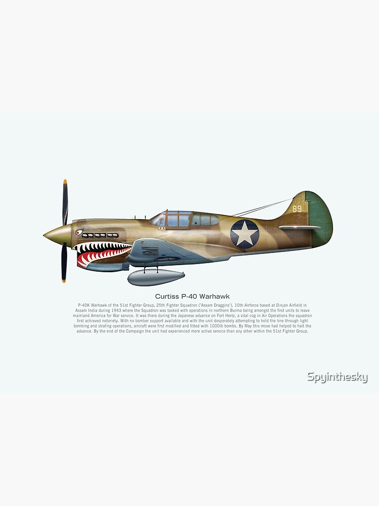 "P-40 Warhawk" Poster for Sale by Spyinthesky | Redbubble