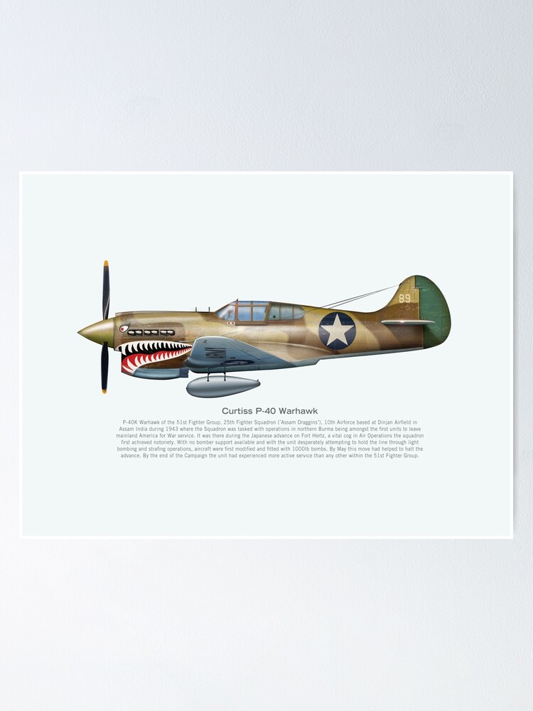 "P-40 Warhawk" Poster for Sale by Spyinthesky | Redbubble