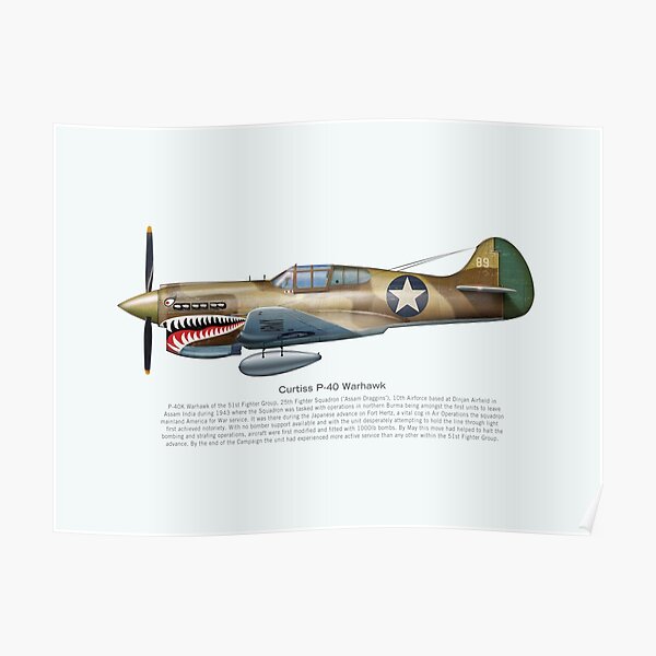 "P-40 Warhawk" Poster for Sale by Spyinthesky | Redbubble