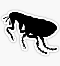 Flea: Stickers | Redbubble