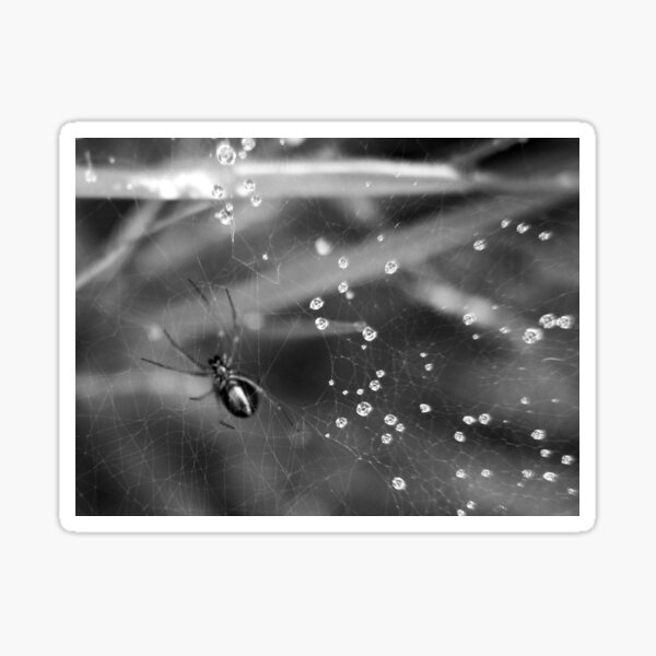 Good Morning Spider Gifts & Merchandise | Redbubble